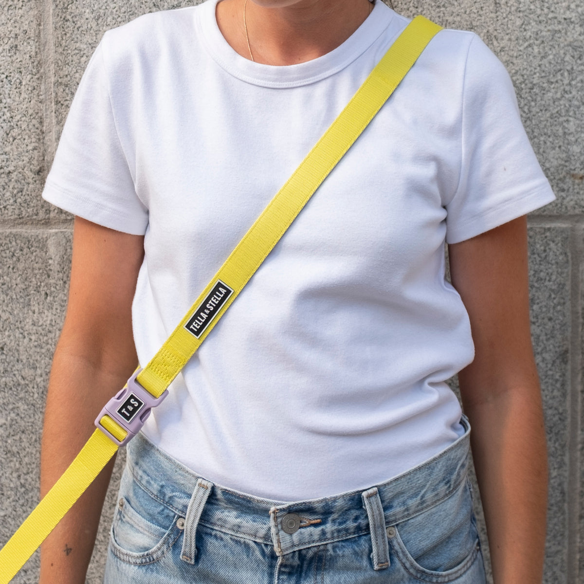 Lime 5-way dog leash – Tella & Stella