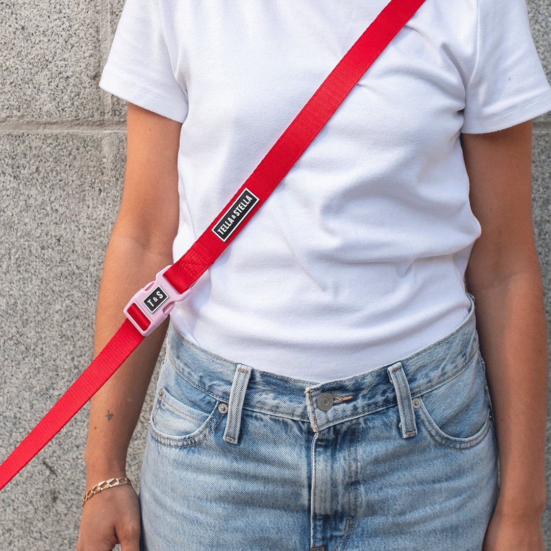 Red 5-way dog leash – Tella & Stella