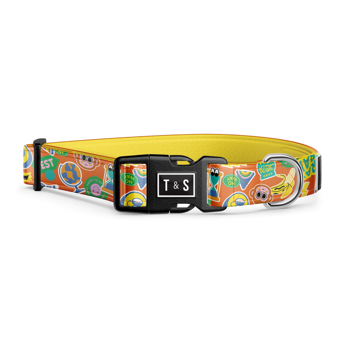 Funky dog combo collar and leash – Tella & Stella